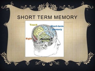 Limbic system and memory | PPTX