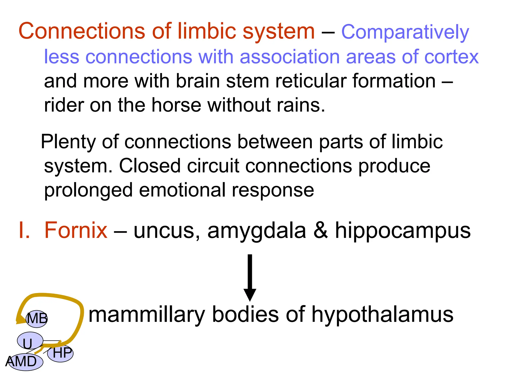 limbic system2.ppt physiology mbbs 1st year | PPT