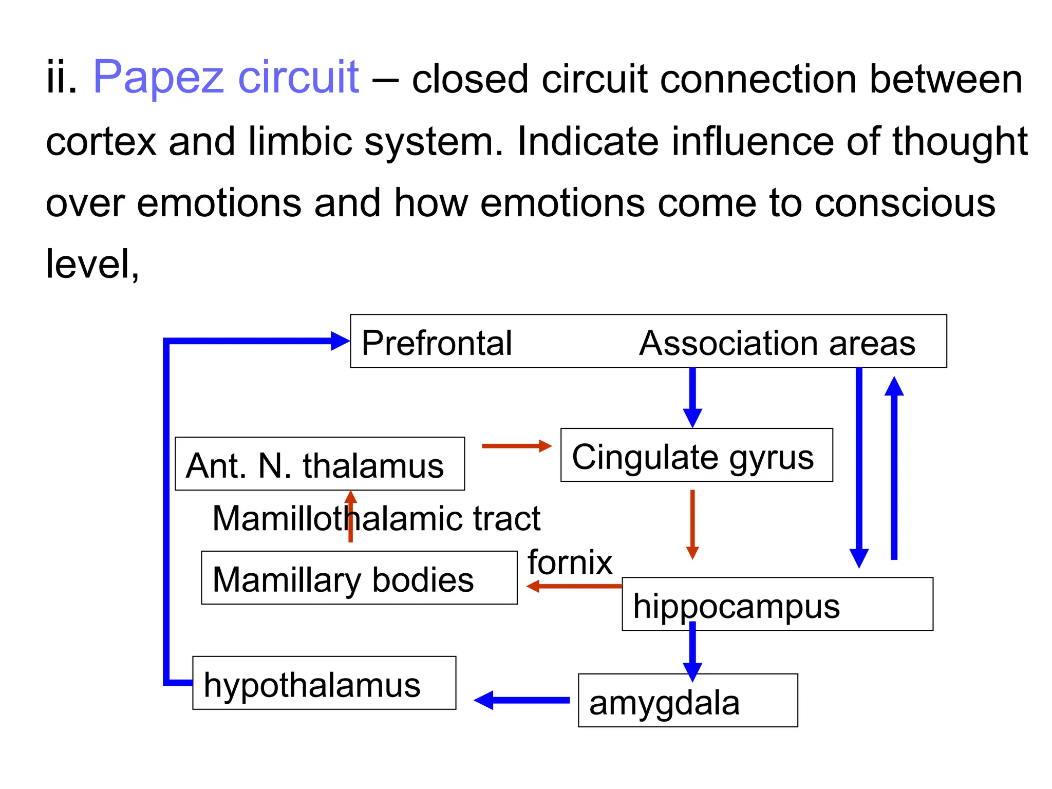 limbic system2.ppt physiology mbbs 1st year | PPT