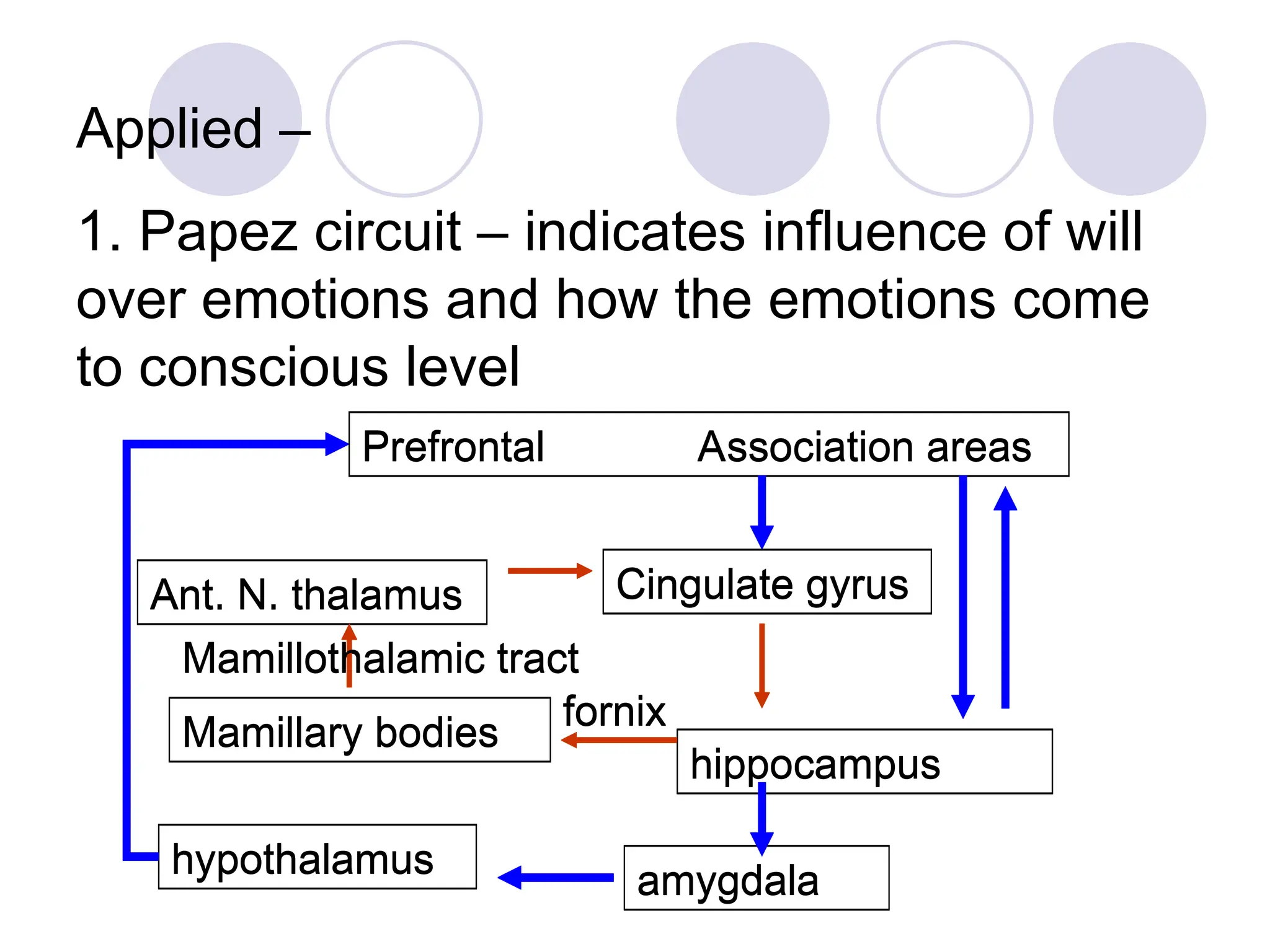 limbic system2.ppt physiology mbbs 1st year | PPT
