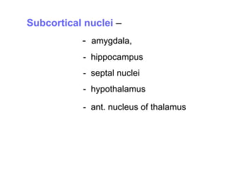 limbic system2.ppt physiology mbbs 1st year | PPT