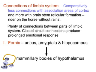 limbic system2.ppt physiology mbbs 1st year | PPT