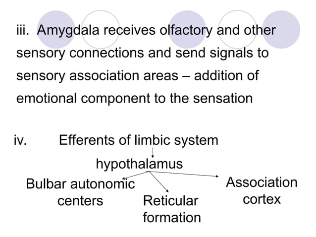 limbic system2.ppt physiology mbbs 1st year | PPT