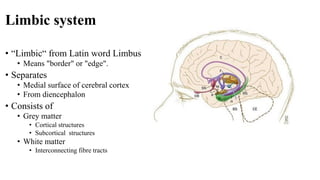 Limbic system anatomy | PDF