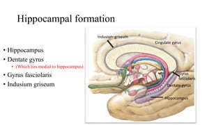 Limbic system anatomy | PDF