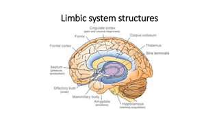Limbic System and Hypothalamus Notes.pdf