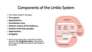 Limbic System and Hypothalamus Notes.pdf
