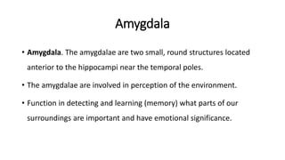 Limbic System and Hypothalamus Notes.pdf