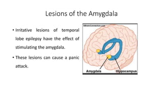 Limbic System and Hypothalamus Notes.pdf