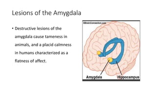 Limbic System and Hypothalamus Notes.pdf