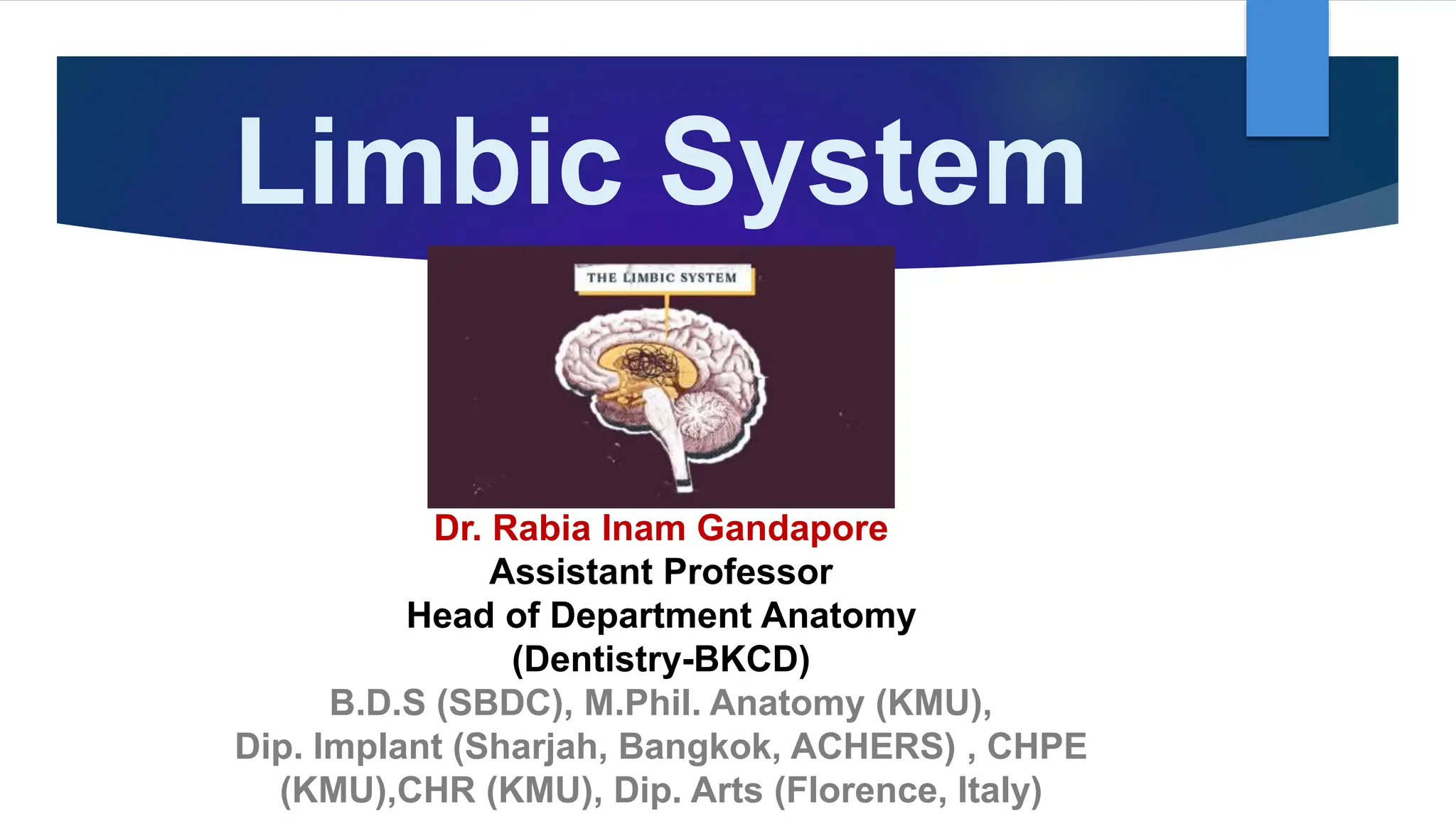 Limbic System Powerpoint