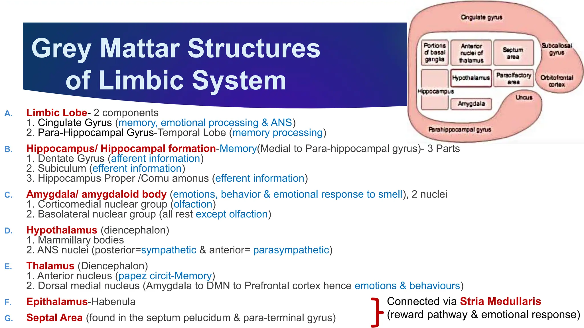 Limbic System By Dr. Rabia Inam Gandapore.pptx