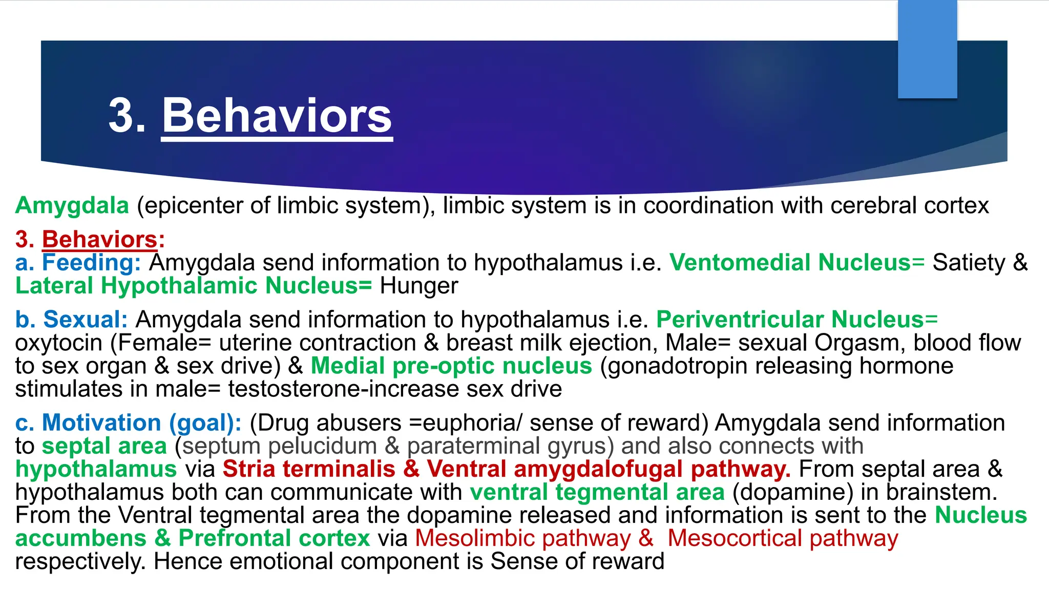 Limbic System By Dr. Rabia Inam Gandapore.pptx