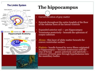 Limbic system by dr ali | PPTX