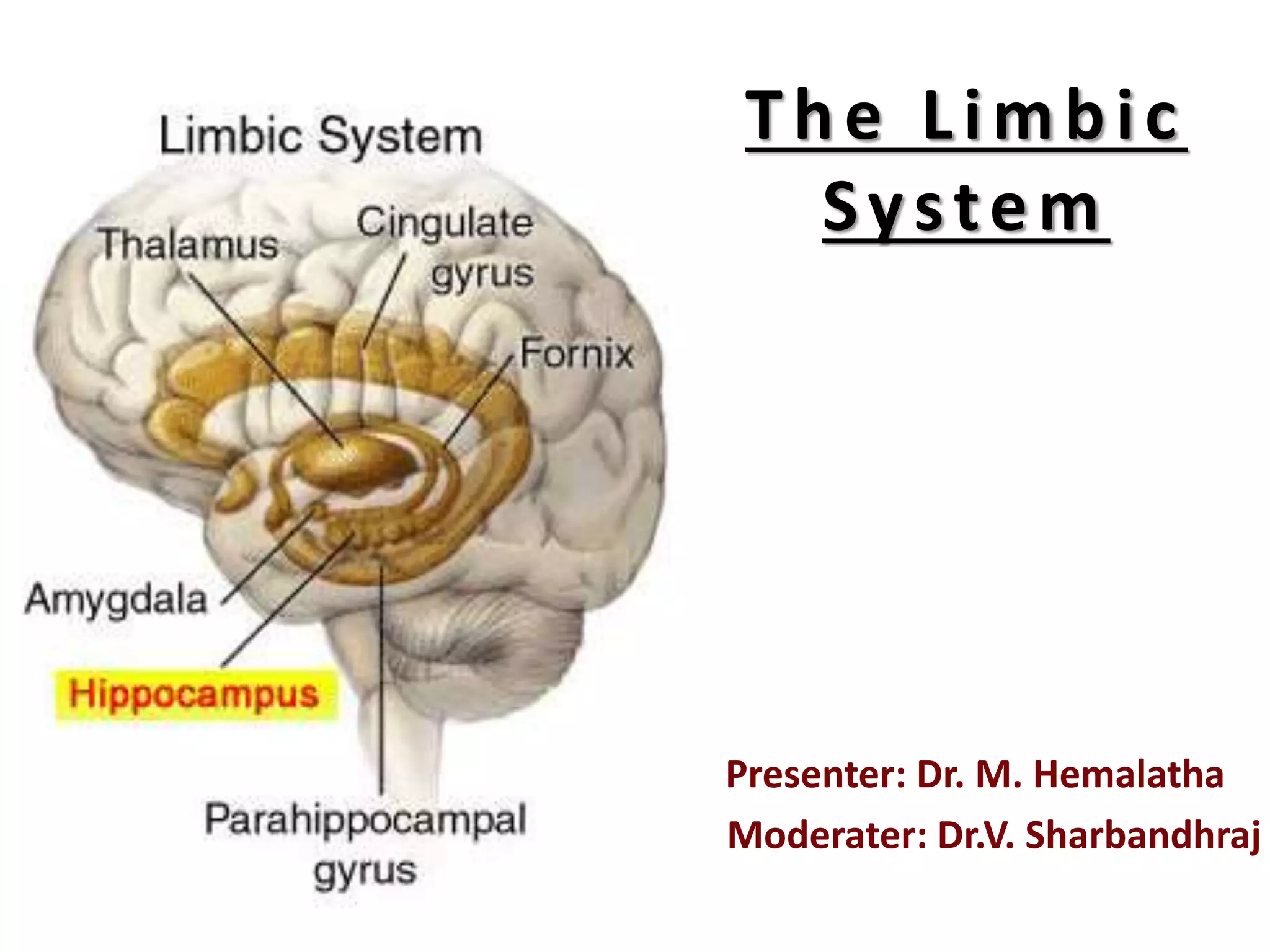 Limbic system ppt slide share by dr m.hemalatha svs medical college, mahaboob nagar | PPT