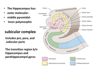 Limbic system ppt slide share by dr m.hemalatha svs medical college ...