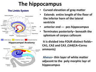 Limbic system ppt slide share by dr m.hemalatha svs medical college ...