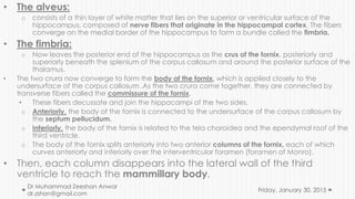 Limbic system Neuroanatomy (Dr Muhammad Zeeshan Anwar) | PPTX