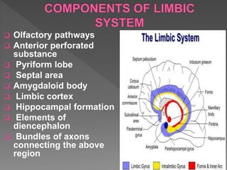Limbic system final | PPT