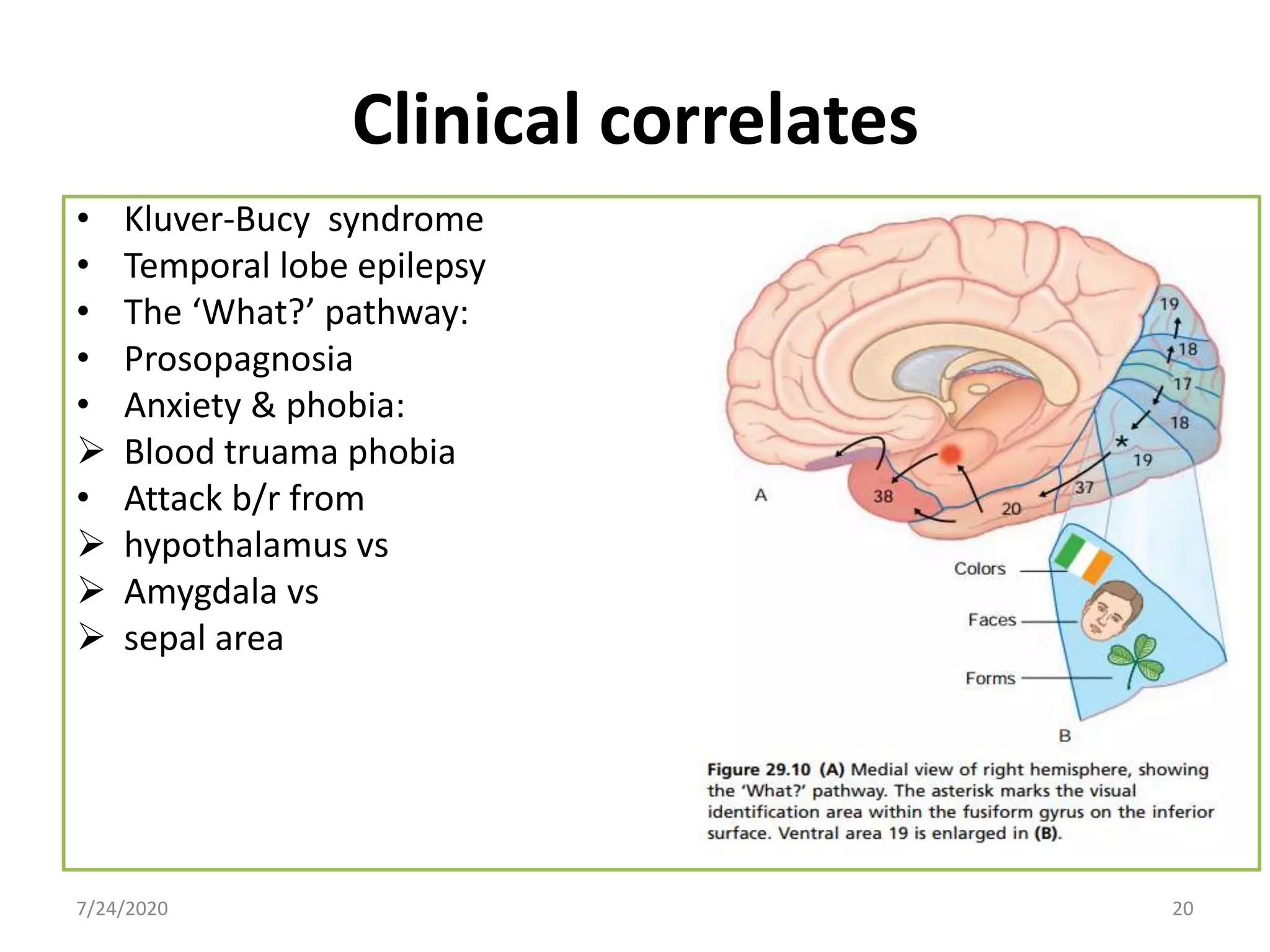 Limbic system & memory disturbance 2020 | PPT