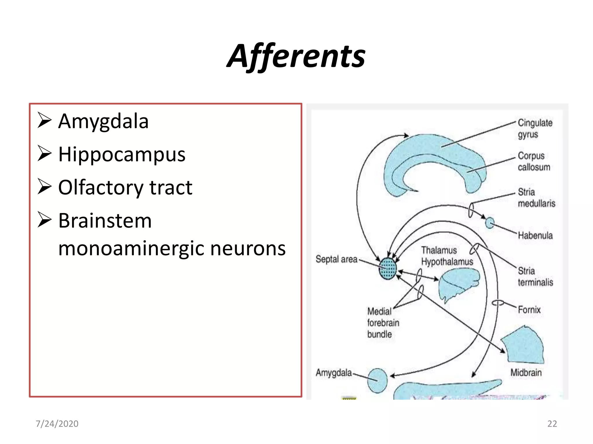 Limbic system & memory disturbance 2020 | PPT