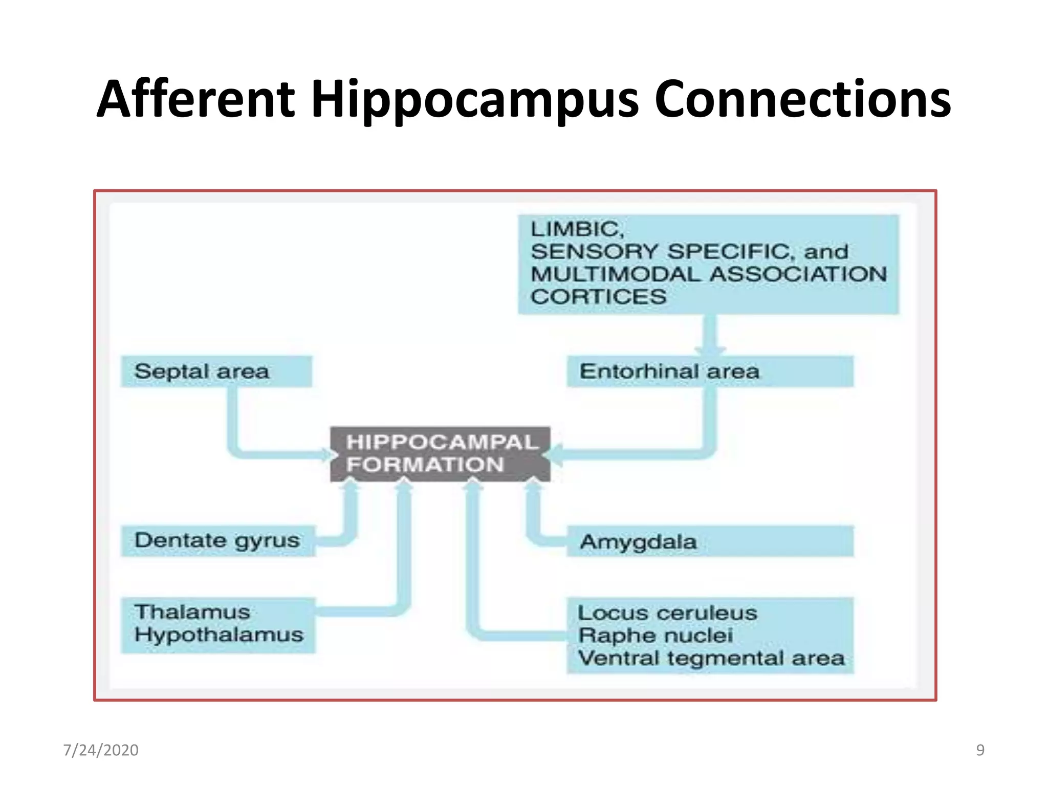 Limbic system & memory disturbance 2020 | PPT
