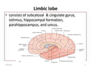 Limbic system & memory disturbance 2020 | PPT