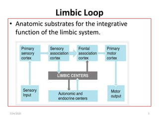Limbic system & memory disturbance 2020 | PPT