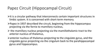 Limbic System | PPTX