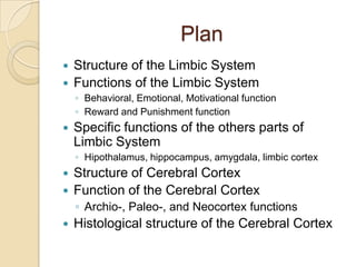 Limbic System and Cortex of the Brain | PPTX