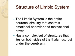 Limbic System and Cortex of the Brain | PPTX