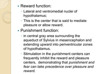 Limbic System and Cortex of the Brain | PPTX
