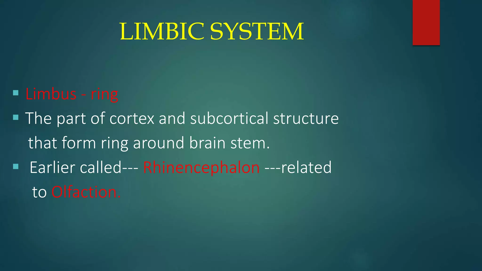 LIMBIC SYSTEM PPT.pptx