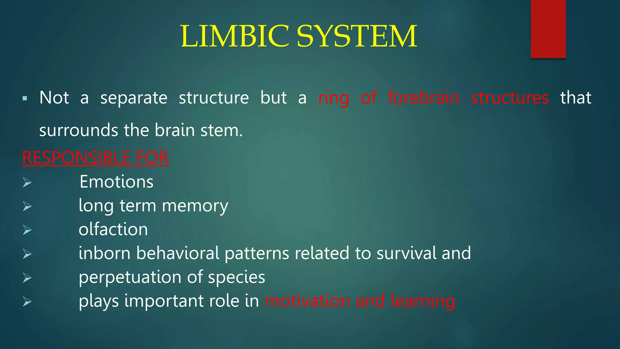 LIMBIC SYSTEM PPT.pptx