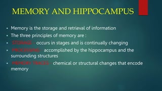 LIMBIC SYSTEM PPT.pptx