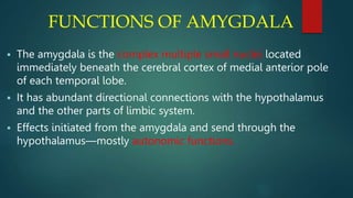 LIMBIC SYSTEM PPT.pptx