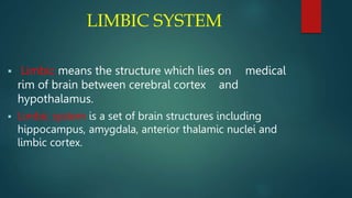 LIMBIC SYSTEM PPT.pptx