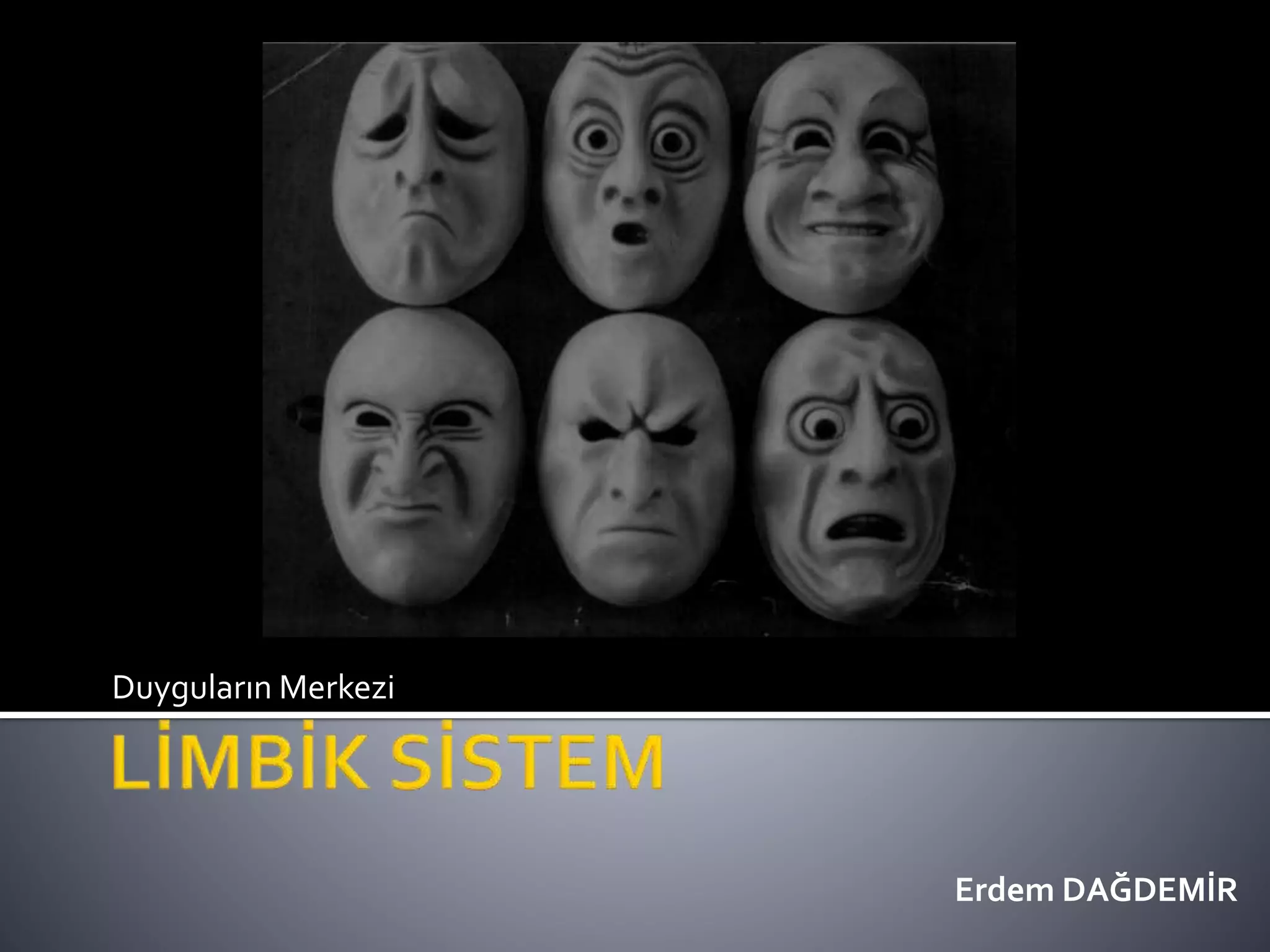 Limbik Sistem | PPTX