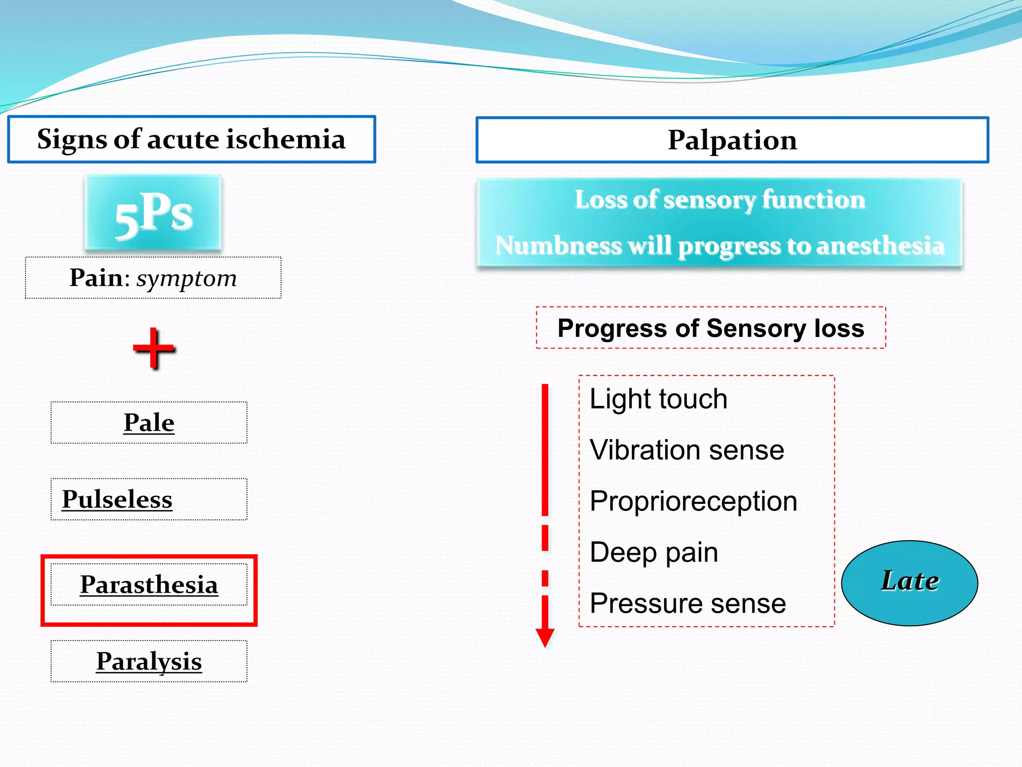 LIMB ISCHEMIA-ACUTE.pptx