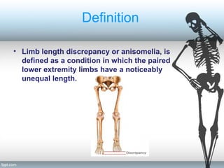 Lower Limbs Definitions