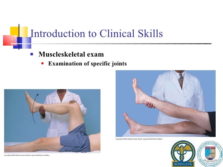 Lower Limb Anatomy Test