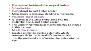 Limbus | PPTX | Eye and Vision Conditions | Diseases and Conditions