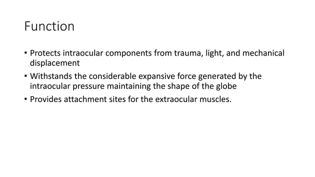 Limbus | PPTX | Eye and Vision Conditions | Diseases and Conditions
