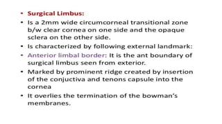 Limbus | PPTX