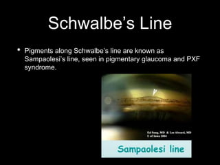 Limbus and Anterior Chamber Angle by Dr. ZAW MIN HTET | PPTX | Eye and ...