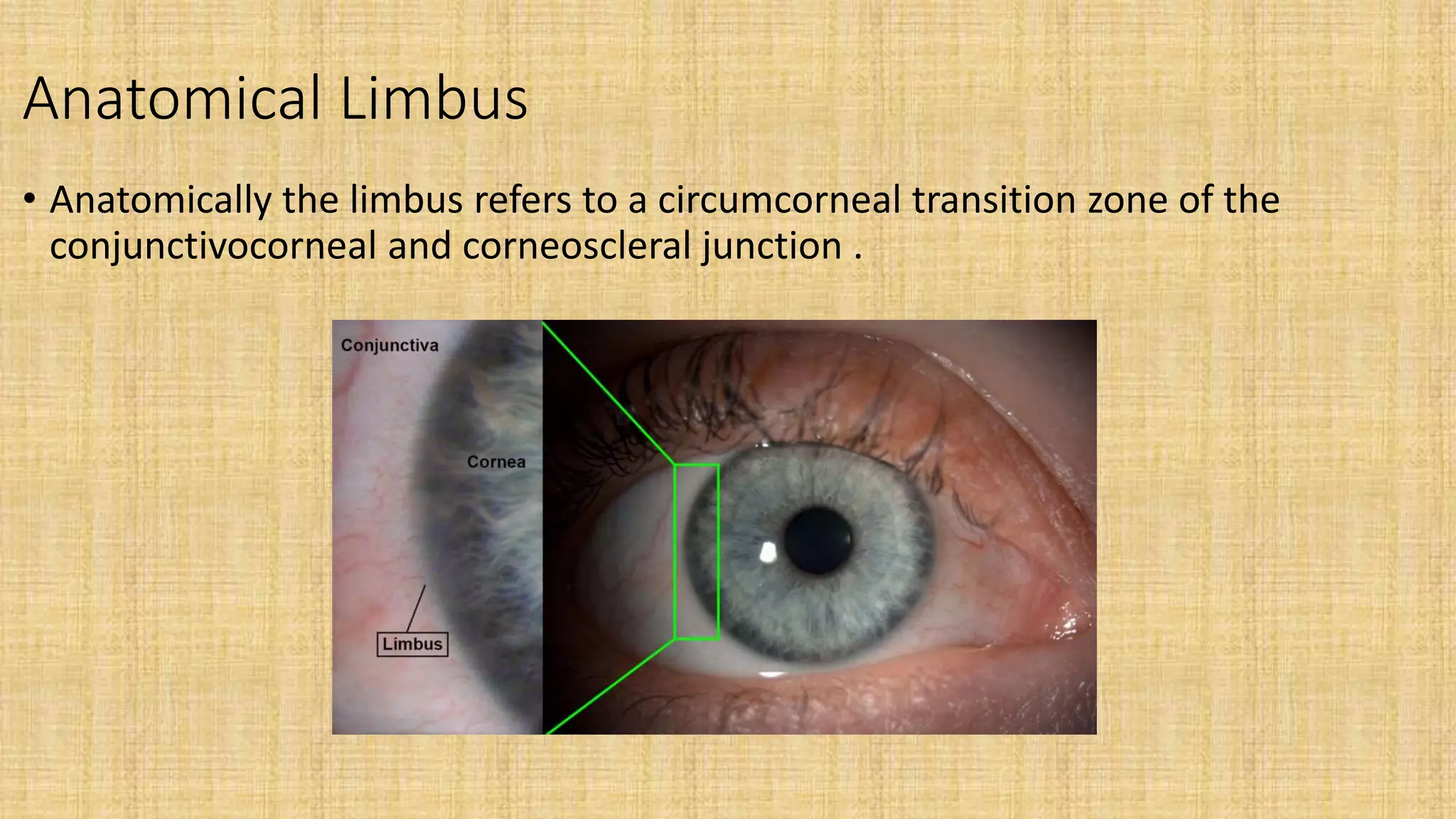 Limbus and Sclera.pptx | Eye and Vision Conditions | Diseases and ...