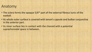 Limbus and Sclera.pptx | Eye and Vision Conditions | Diseases and ...