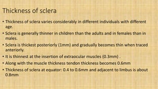 Limbus and Sclera.pptx