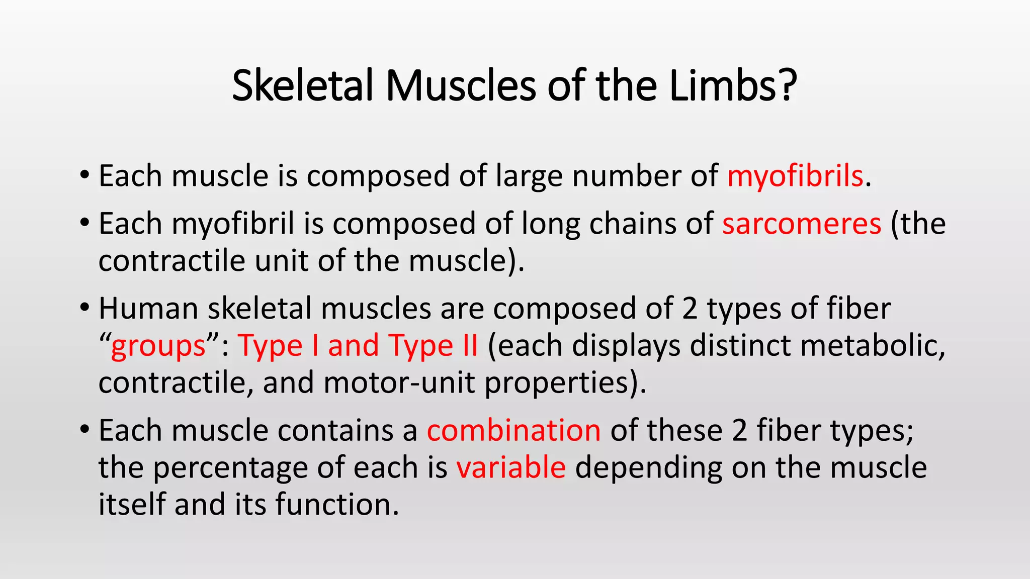 Limb Weakness II Osama S. M. Amin | PPTX