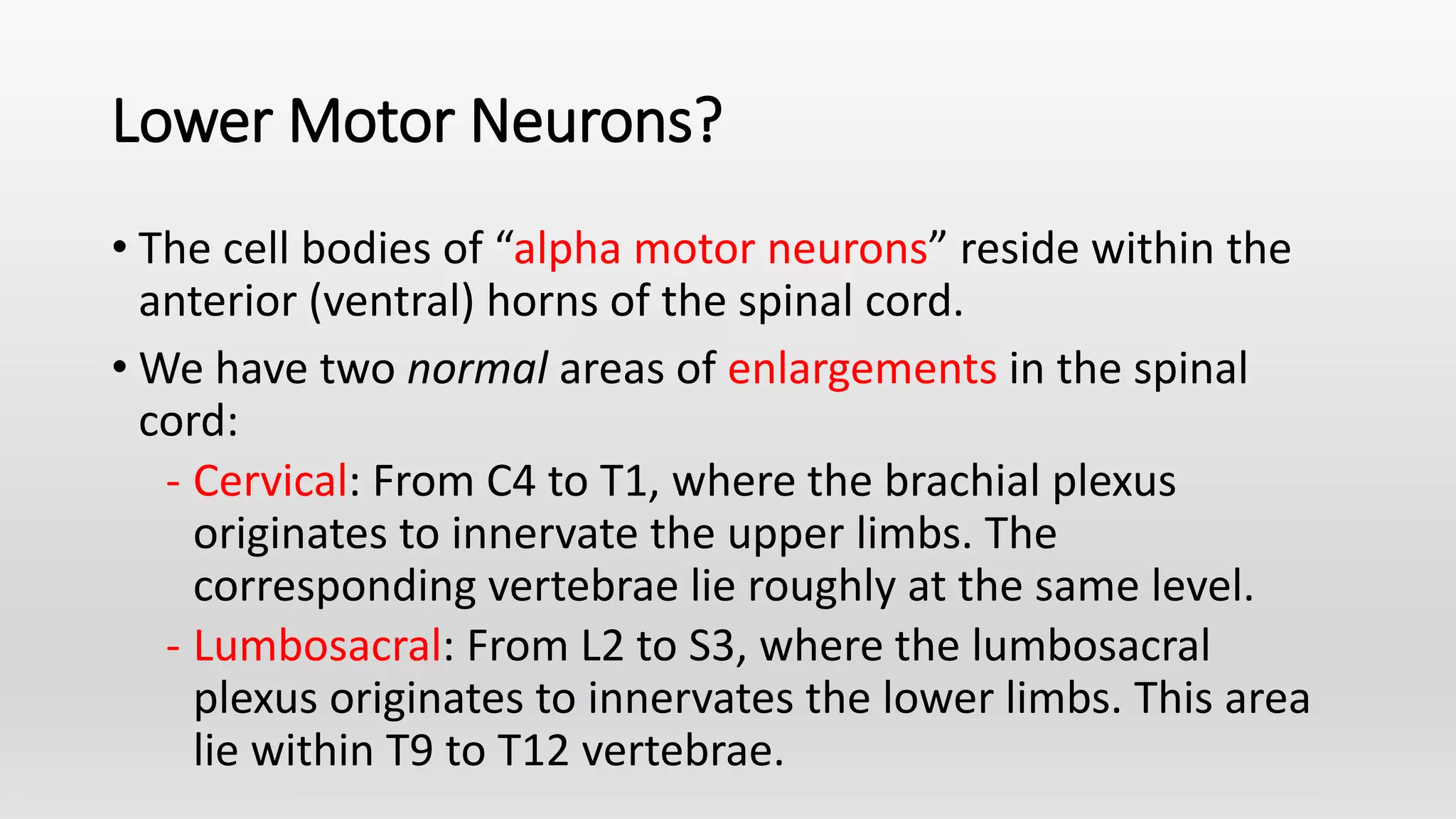 Limb Weakness II Osama S. M. Amin | PPTX